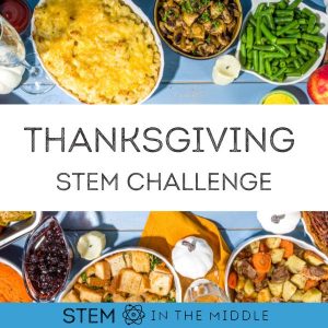Blog - STEM in the Middle