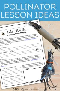 Pollinator Lesson Plans for Middle School - Why are bees important ...